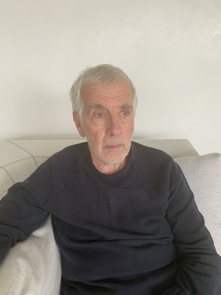 The Holmes Commission on Racial Equality in American Psychoanalysis ...