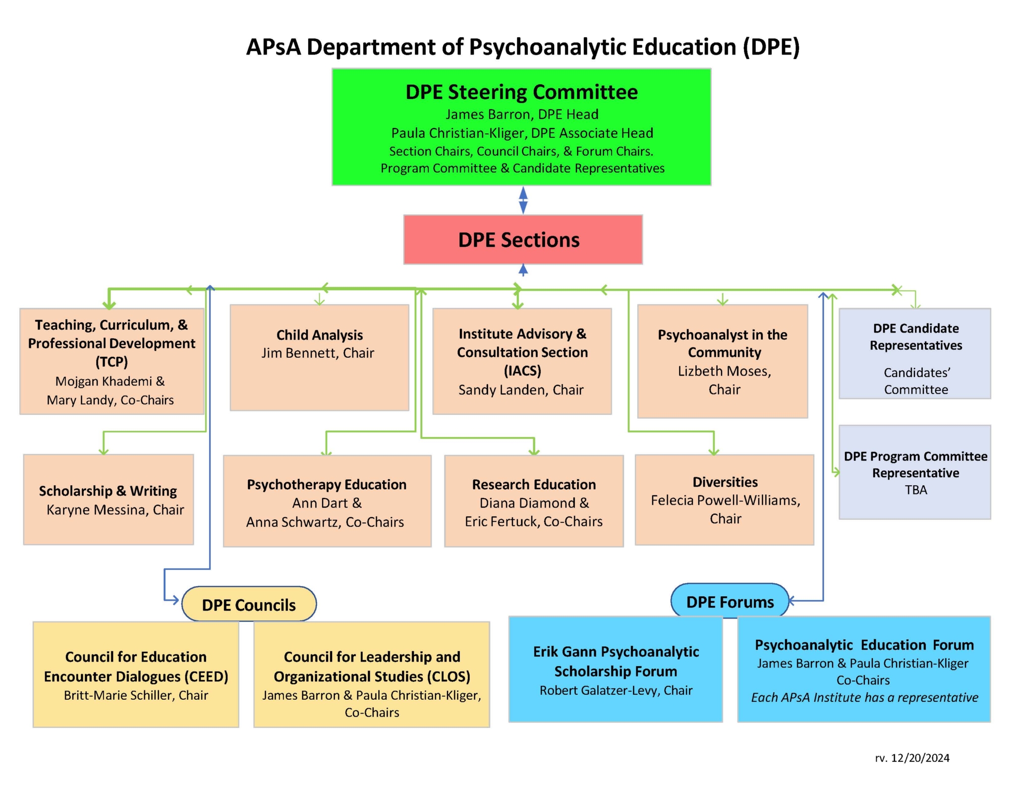 Department of Psychoanalytic Education (DPE)